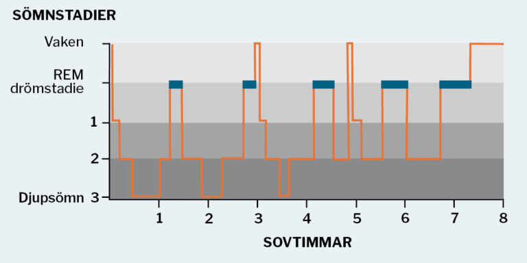 Så påverkar sjukdomar vår sömn – Äldre i Centrum