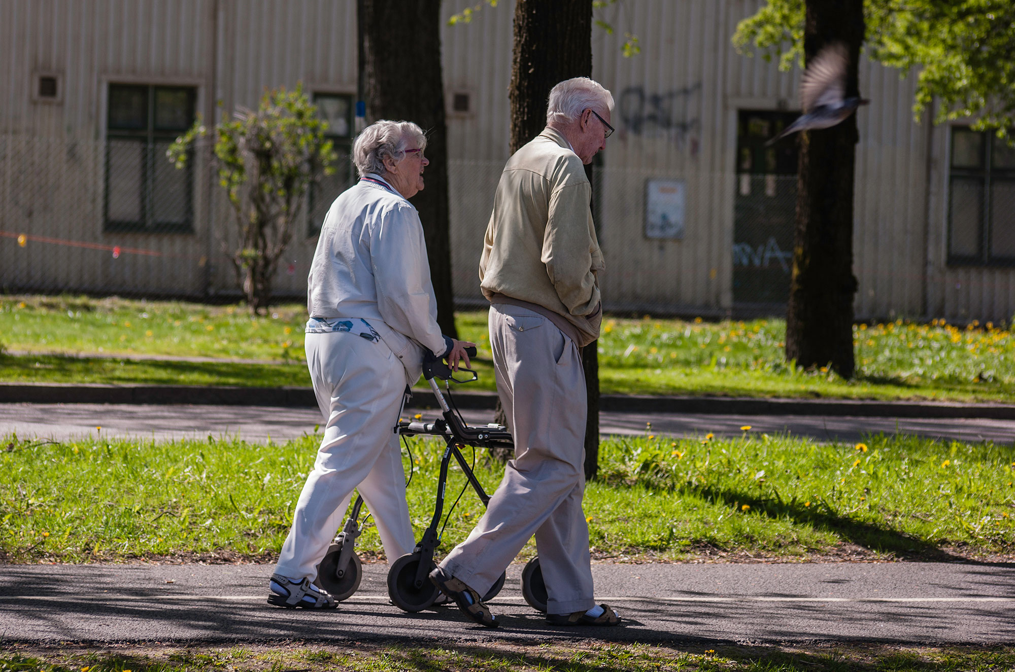 Studie undersöker rörelseförmågans koppling till demens – Äldre i Centrum